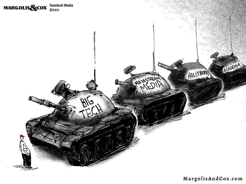 The Public Square Massacre – small dead animals