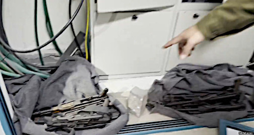 Dear Justin… – small dead animals