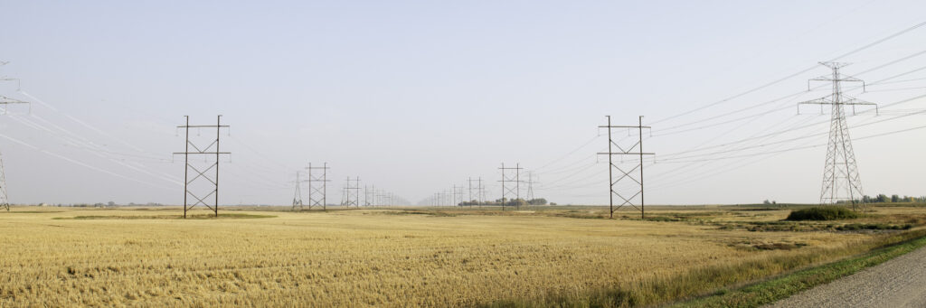 What ‘doubling the electrical grid’ really means – small dead animals